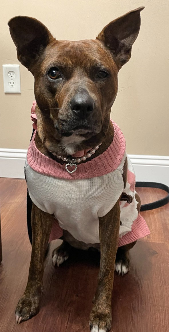 Fiona Middleburg, FL | Mate & Huaman Dentistry